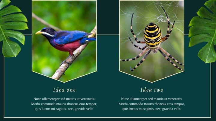 Tropical Amazon Rainforest Newsletter. Free Presentation Template ...