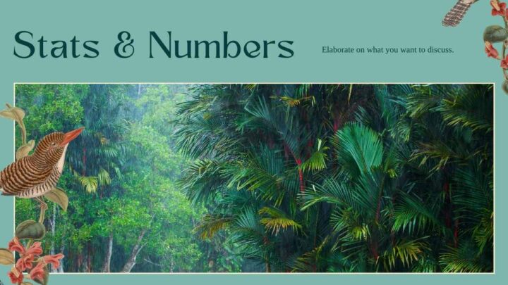 Tropical Amazon Rainforest Newsletter. Free Presentation Template ...