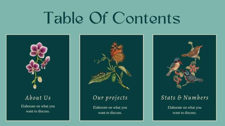 Tropical Amazon Rainforest Newsletter. Free Presentation Template ...