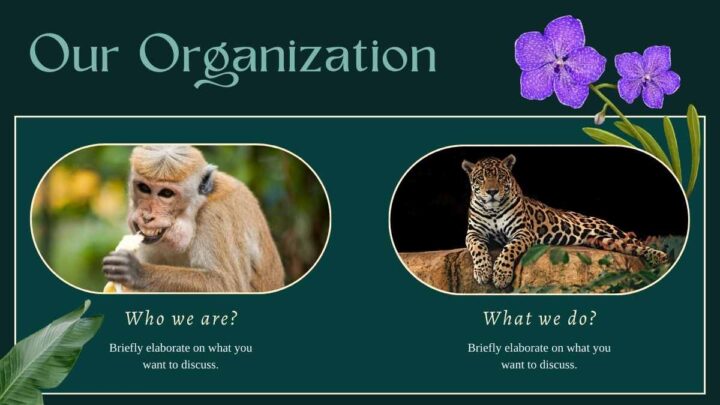 Tropical Amazon Rainforest Newsletter. Free Presentation Template ...