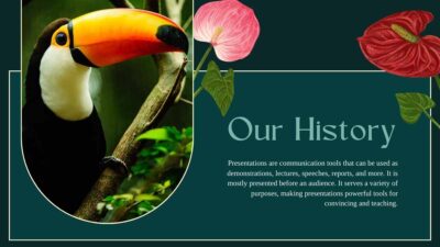 Tropical Amazon Rainforest Newsletter. Free Presentation Template ...