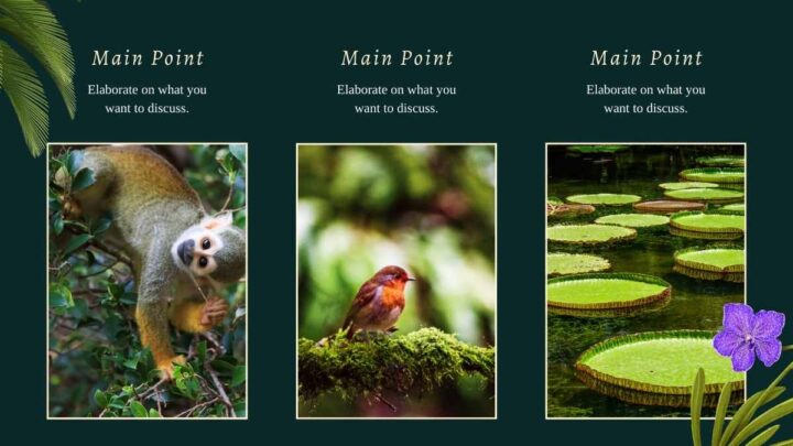 Tropical Amazon Rainforest Newsletter. Free Presentation Template ...