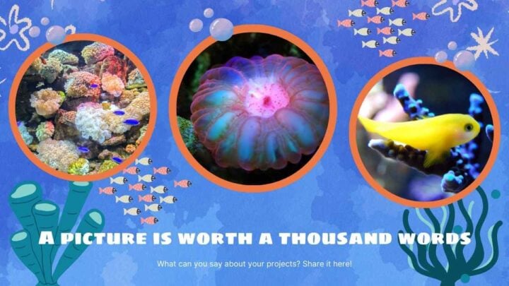 Watercolor Marine Biology. Free PPT & Google Slides Template ...