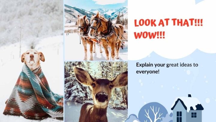 Winter Wonderland. Free Presentation Template — SlidesCarnival