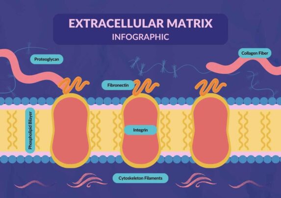 Template PowerPoint Gratis – SlidesCarnival